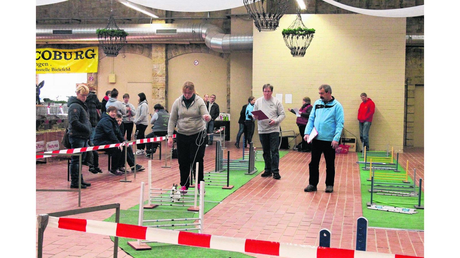 Die besten Hoppler und Rammler | Schaumburger Wochenblatt